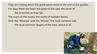 The Trees are Down | PPTX