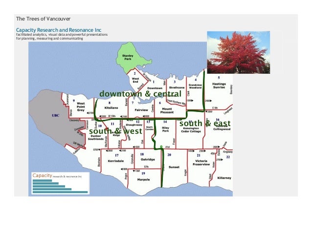 The trees of vancouver