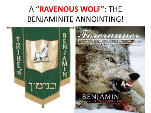 The tribe of benjamin | PPT