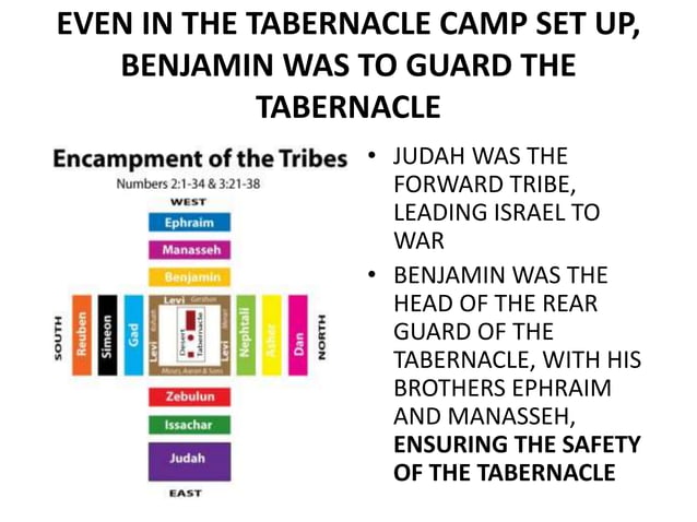 The tribe of benjamin | PPT
