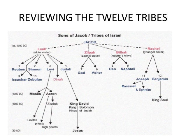 The tribe of benjamin