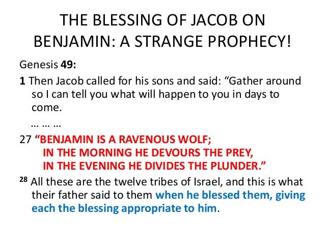 The tribe of benjamin