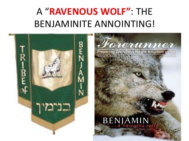 The tribe of benjamin