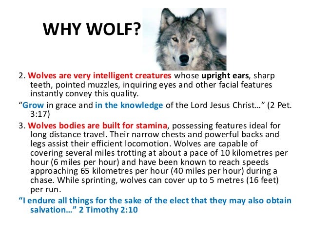 The tribe of benjamin