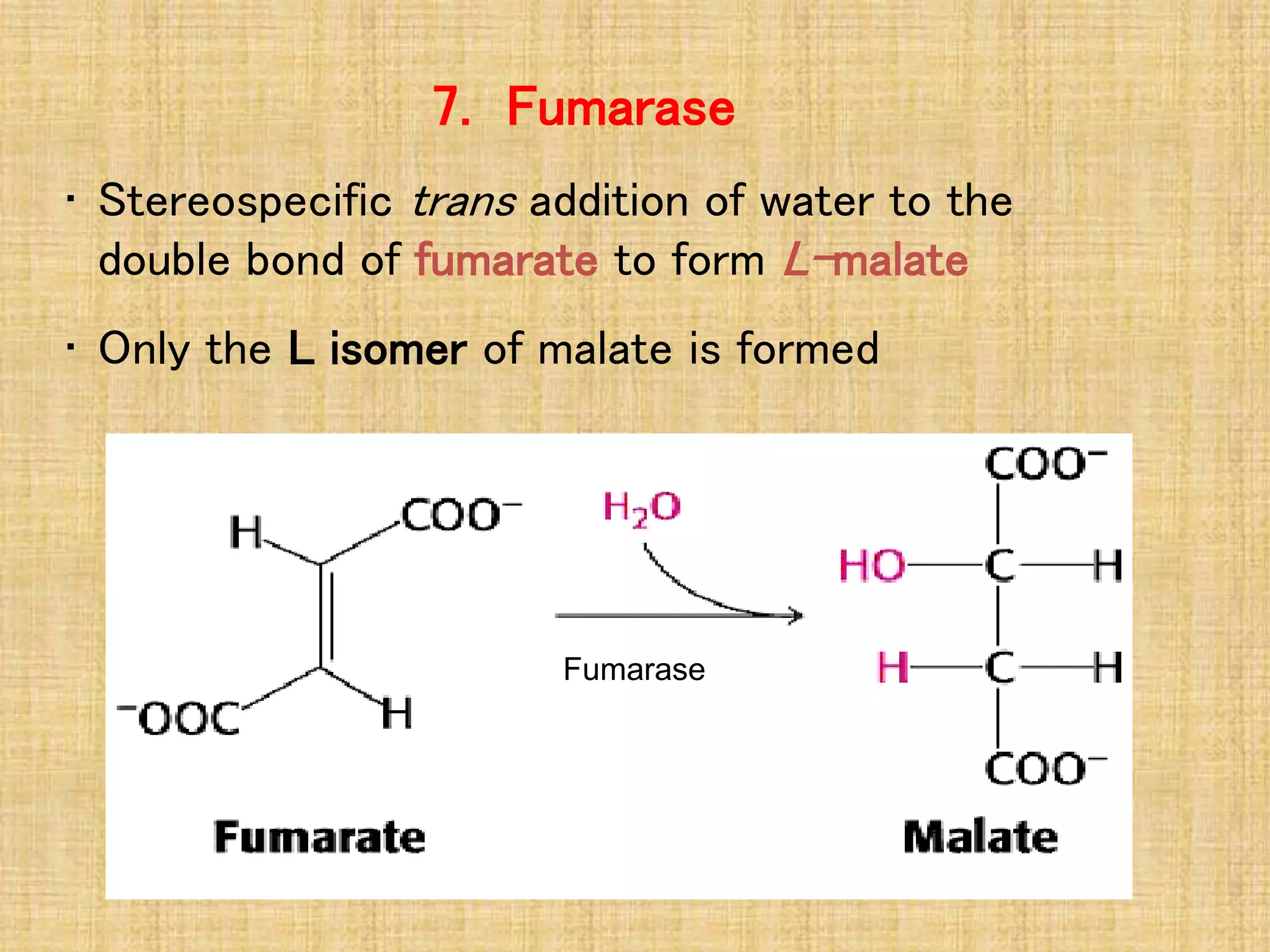 The tricarboxylic acid cycle | PPTX