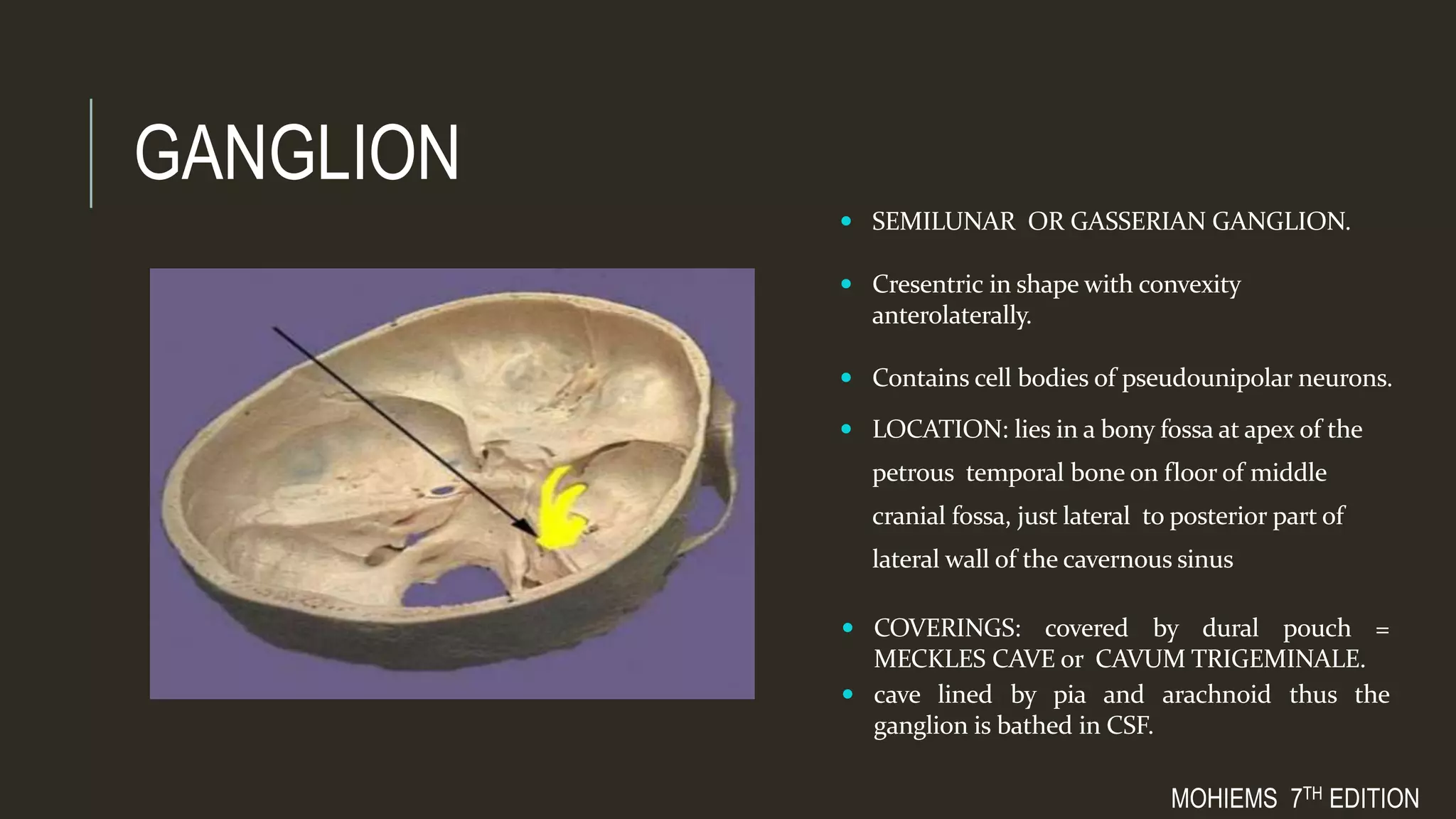 The trigeminal nerve | PPTX