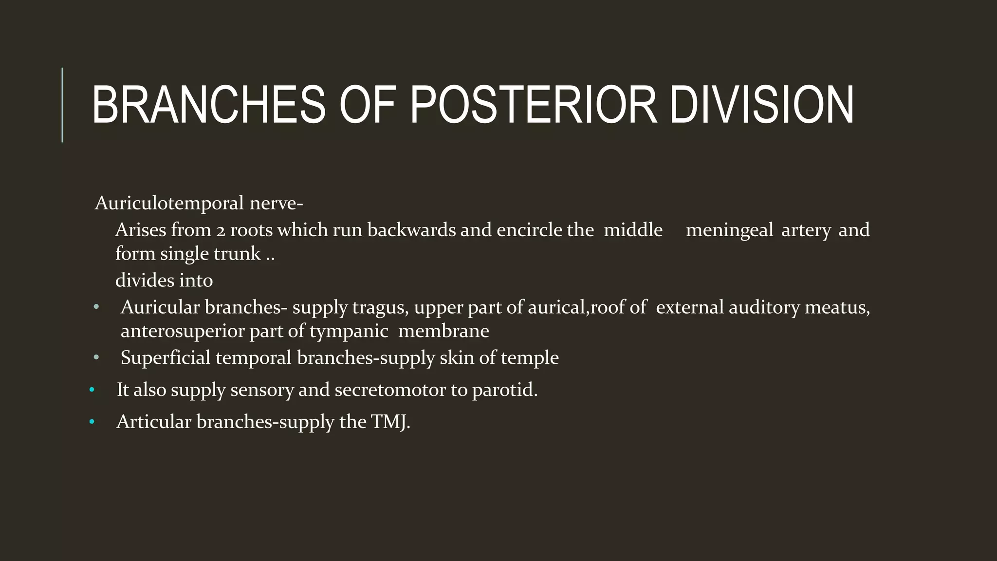 The trigeminal nerve | PPTX
