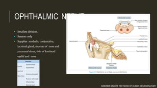 The trigeminal nerve | PPT