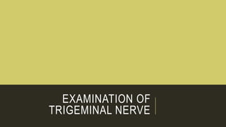 The trigeminal nerve | PPT