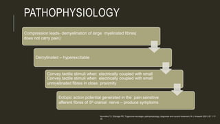 The trigeminal nerve | PPT