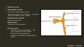 The trigeminal nerve | PPT