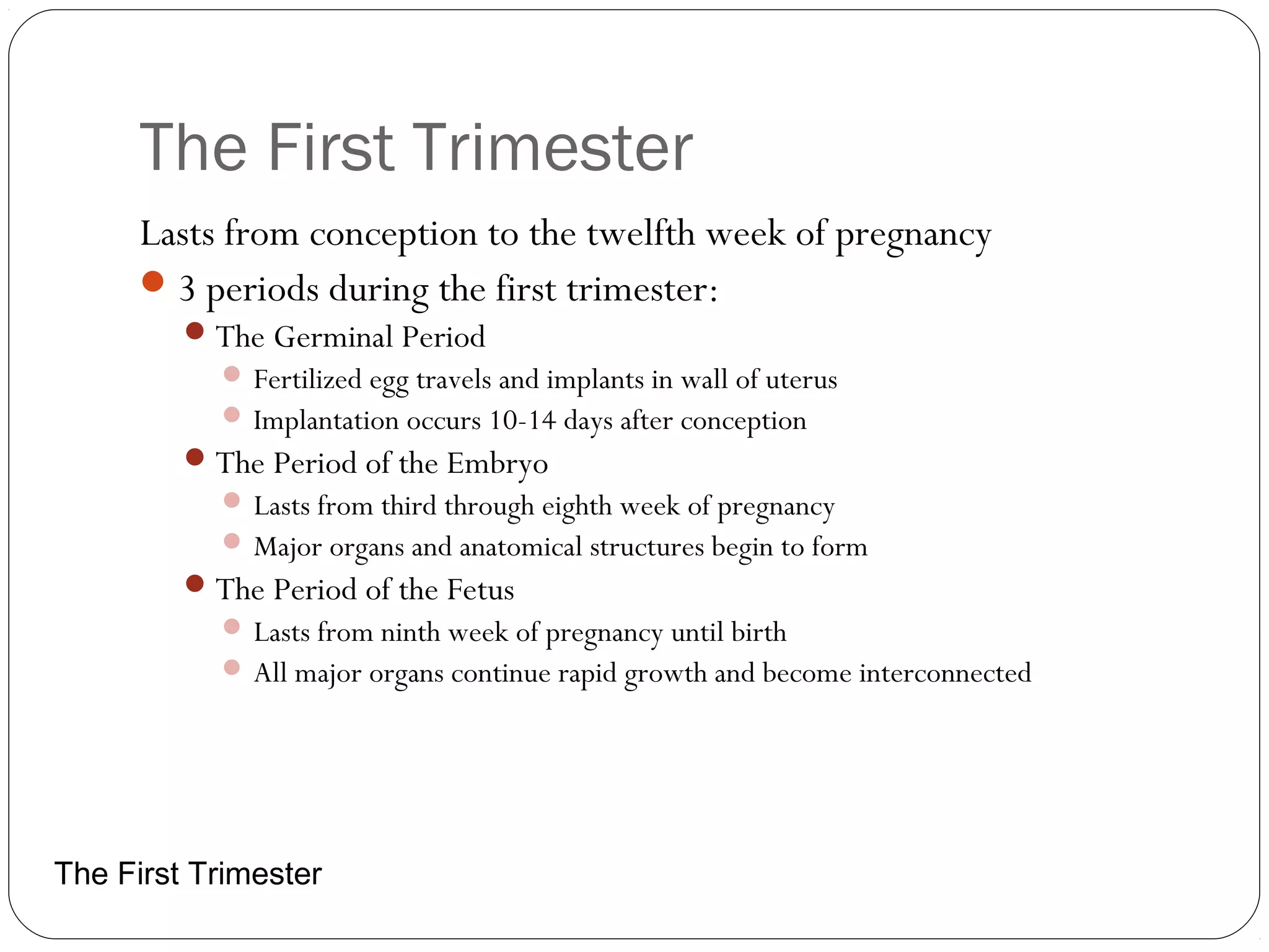 The Trimester Pregnancy | PPT