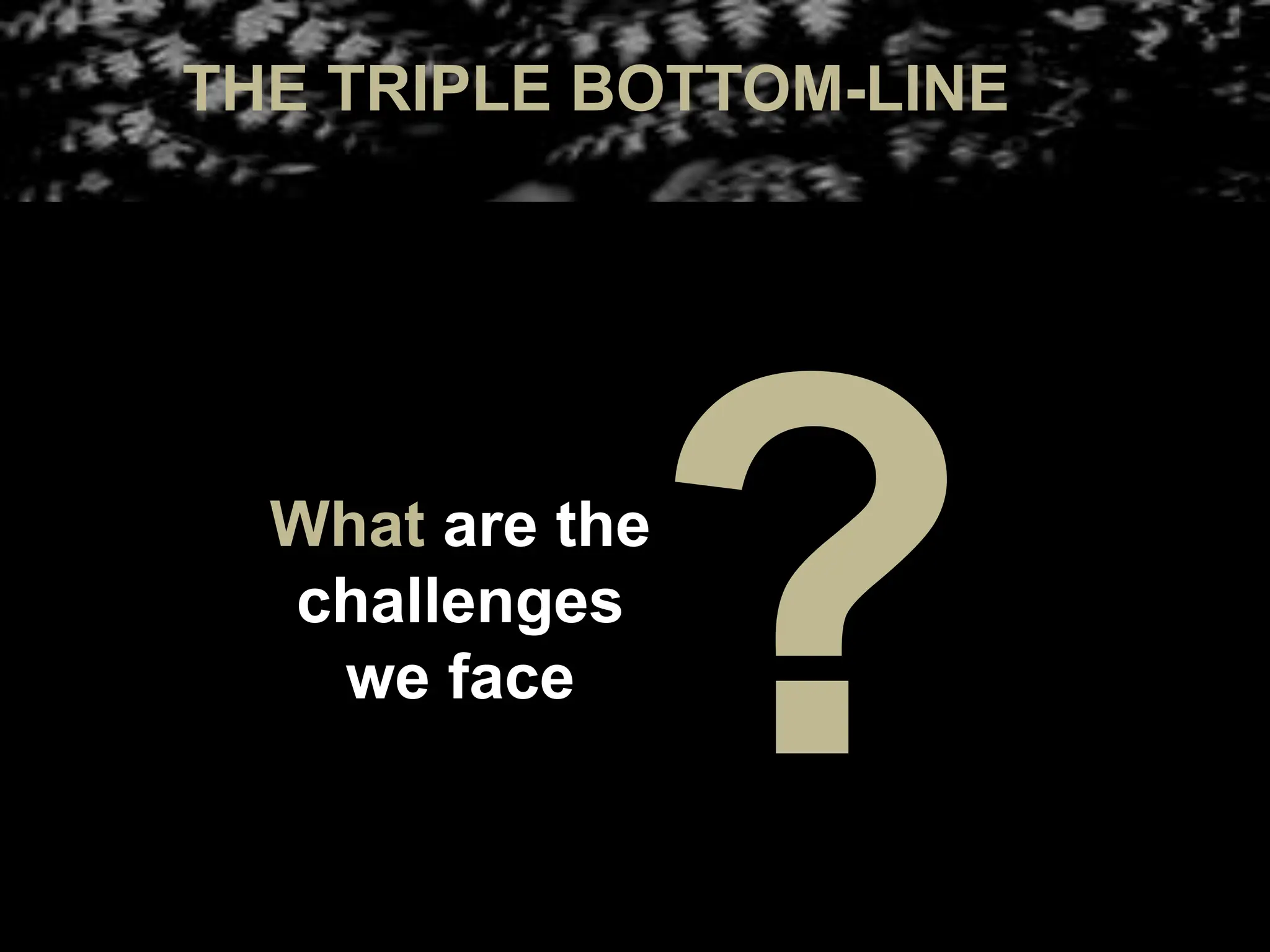 The tripple bottomline in sustainability | PPT