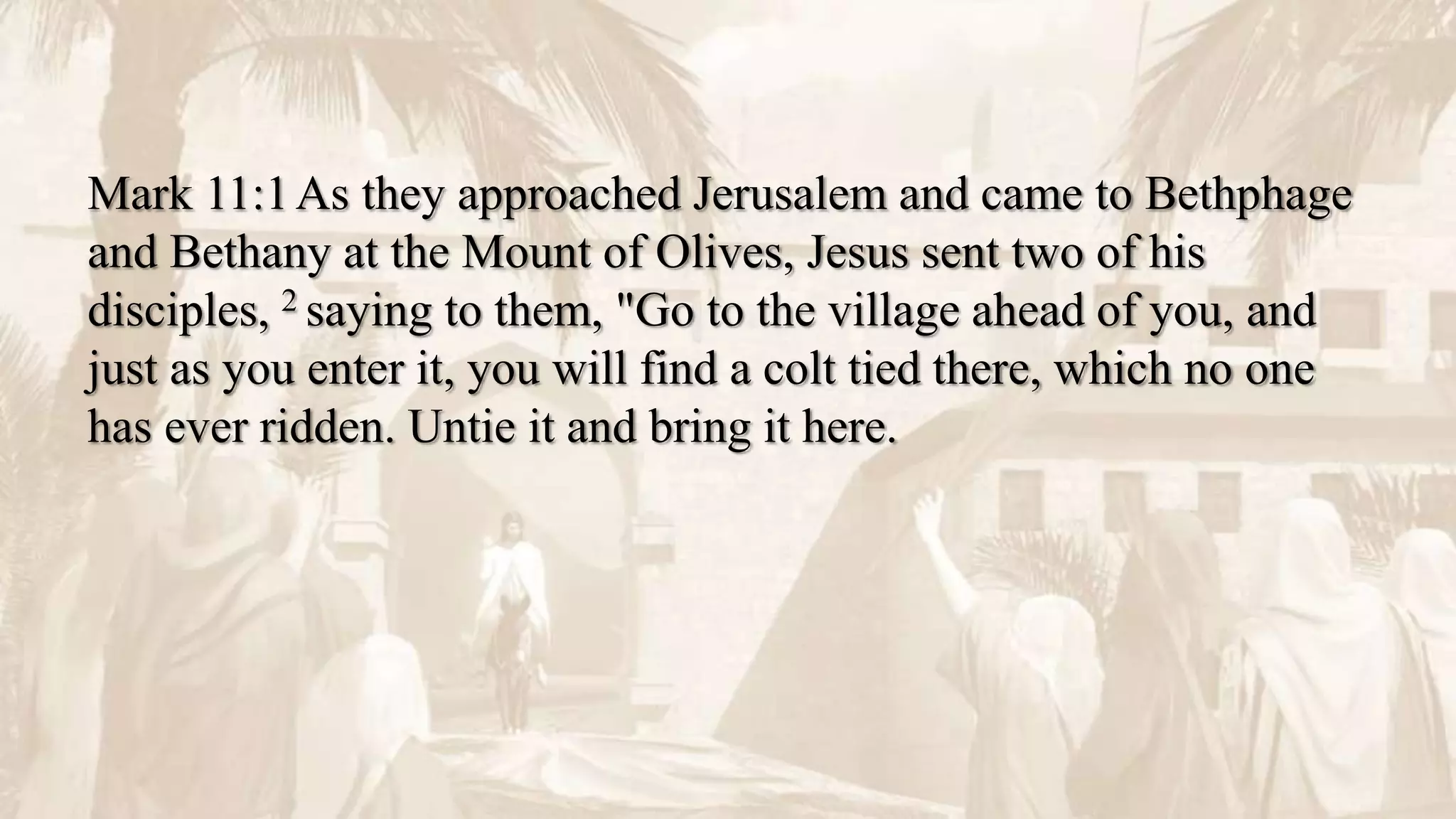 The Triumphal Entry and the Temple | PPTX | Christianity | Religion ...