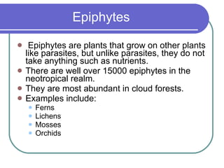 The Tropical Rainforest 2 | PPT