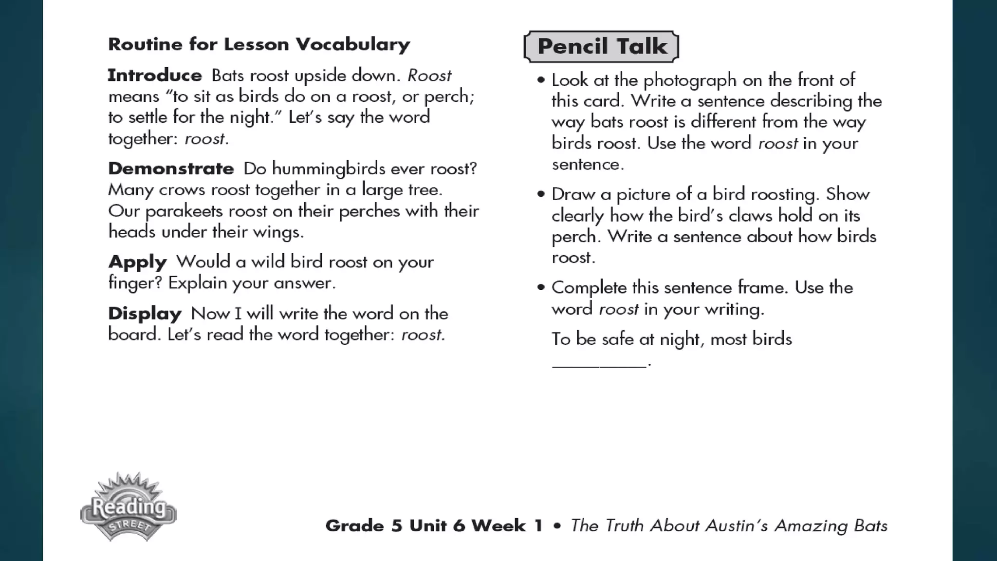 The truth about austin amazing bats | PPTX