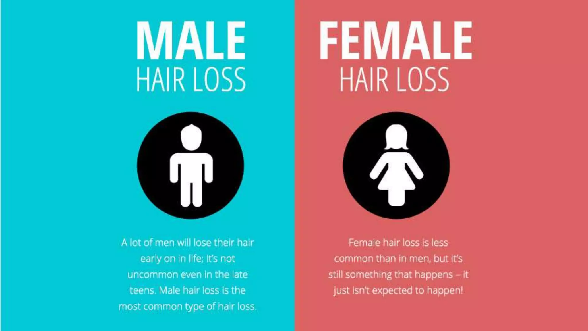 The Truth Behind Hair Loss: Statistics and Facts | PPTX