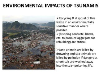 The tsunami; its mechanisms, socioeconomic and environmental impacts ...