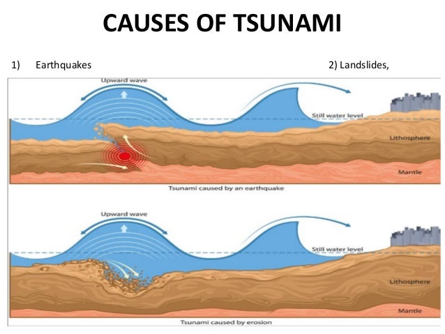 The Science Of A Tsunami What Causes Tides To Become So