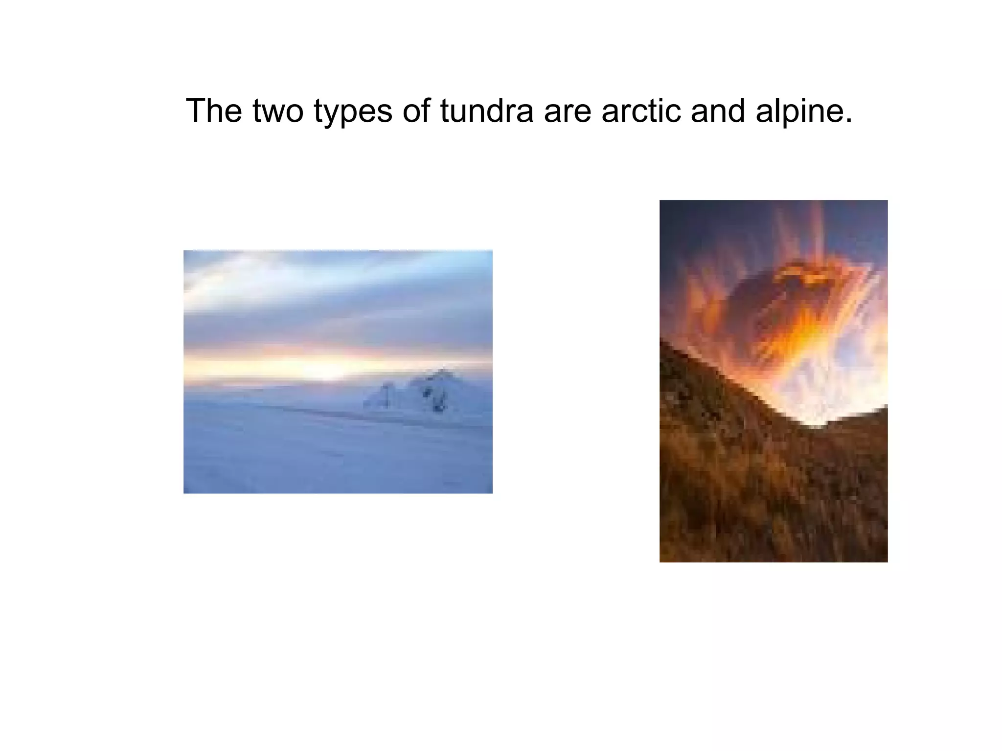 The Tundra Noeth | PPT