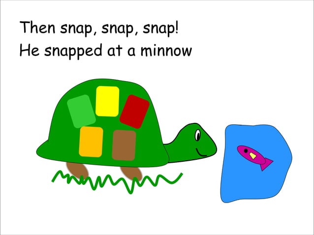 The Turtle Song | PPT