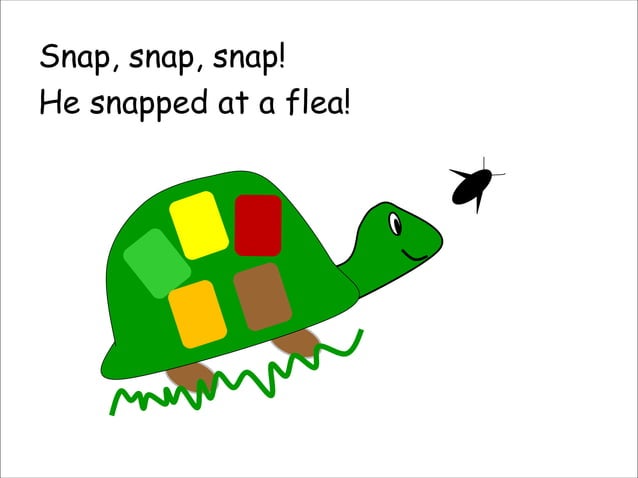 The Turtle Song | PPT