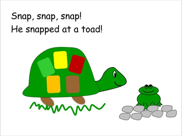 The Turtle Song | PPT