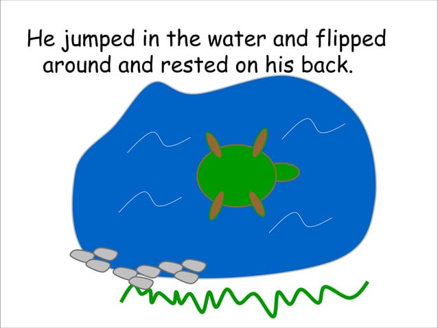 The Turtle Song | PPT