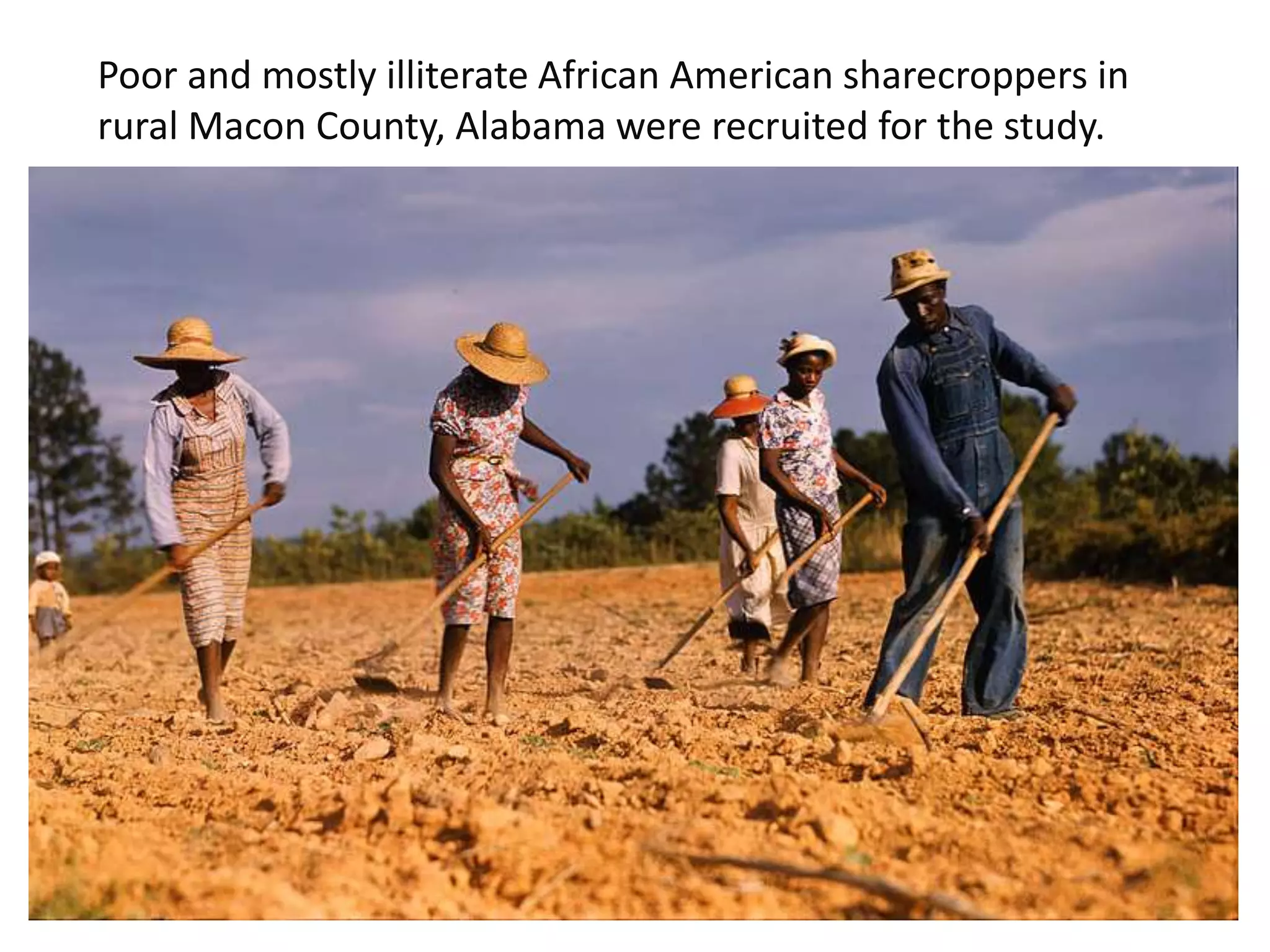 The tuskegee study | PPTX