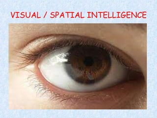 The types of multiple intelligence | PPT