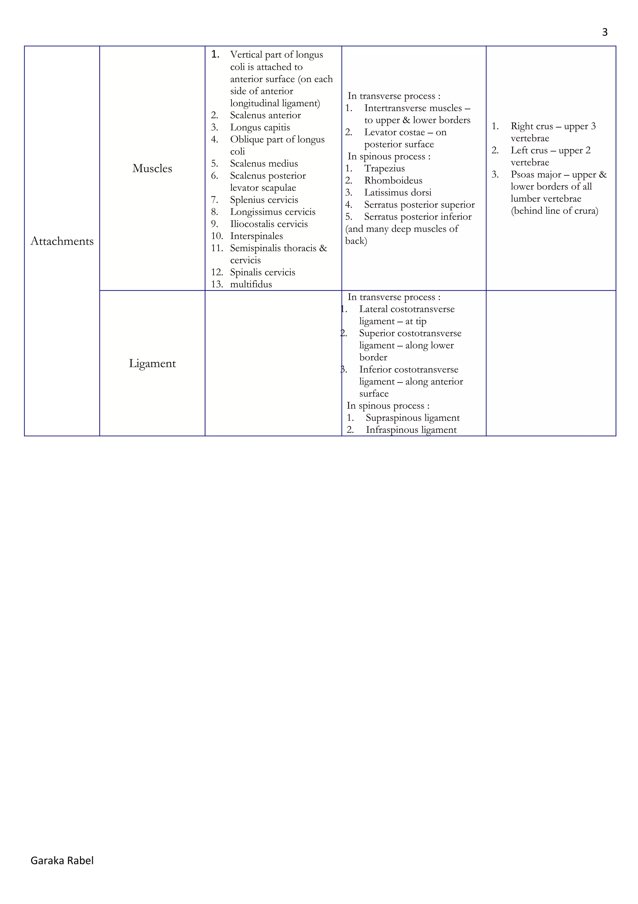 The typical vertebrae | DOC