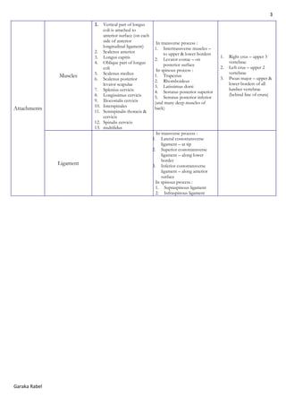 The typical vertebrae | DOC
