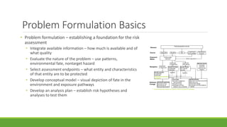 The U.S. Perspective on Problem Formulation for Biopesticides: Shannon ...