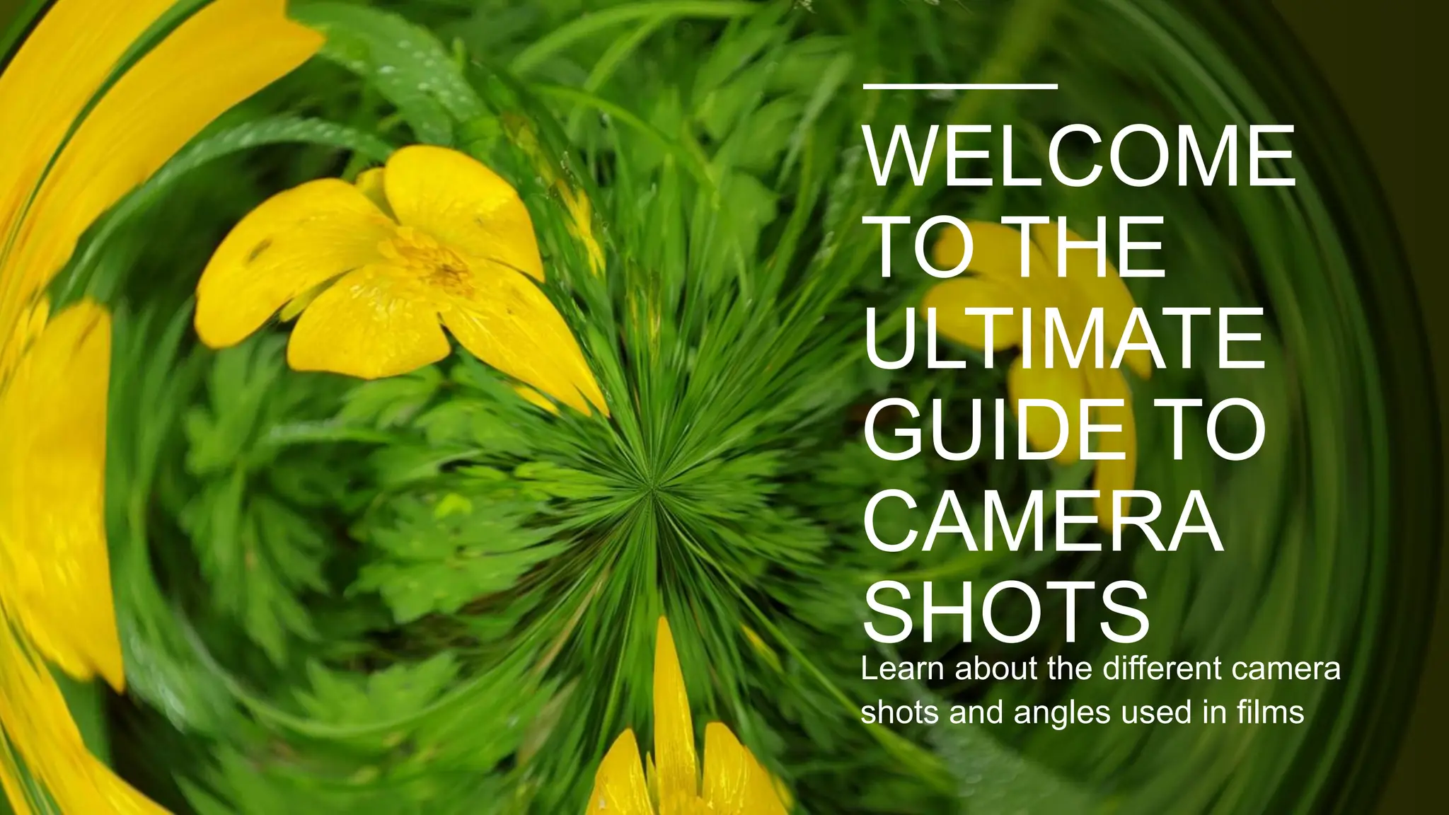 The Ultimate Guide to Camera Shots, Photography! | PPTX | Cameras and ...