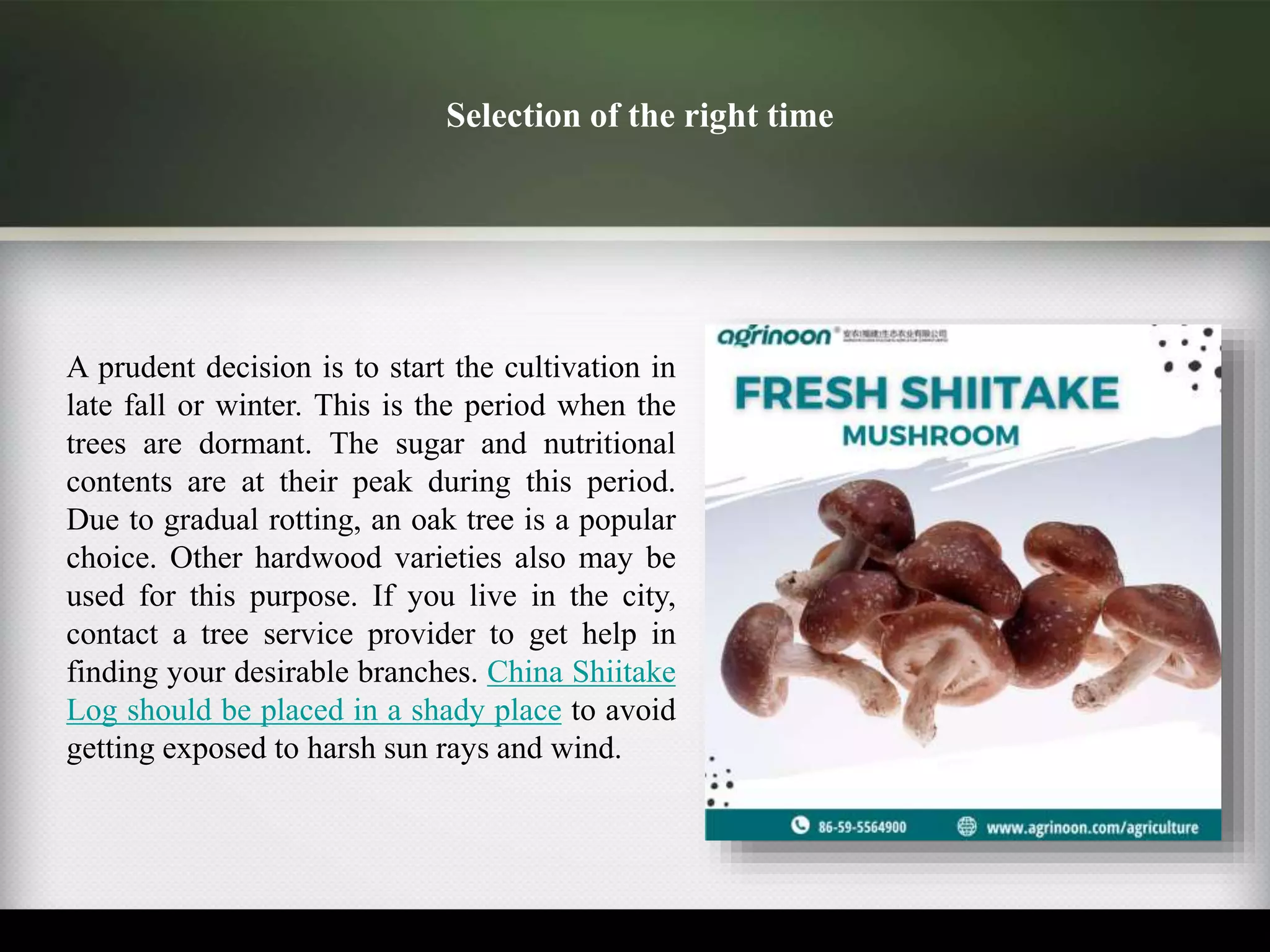 The Ultimate Guide to Grow On China Shiitake Log.ppt