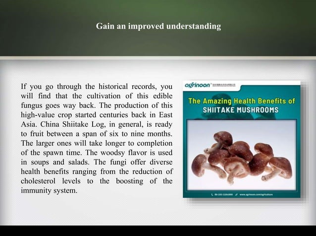 The Ultimate Guide to Grow On China Shiitake Log.ppt