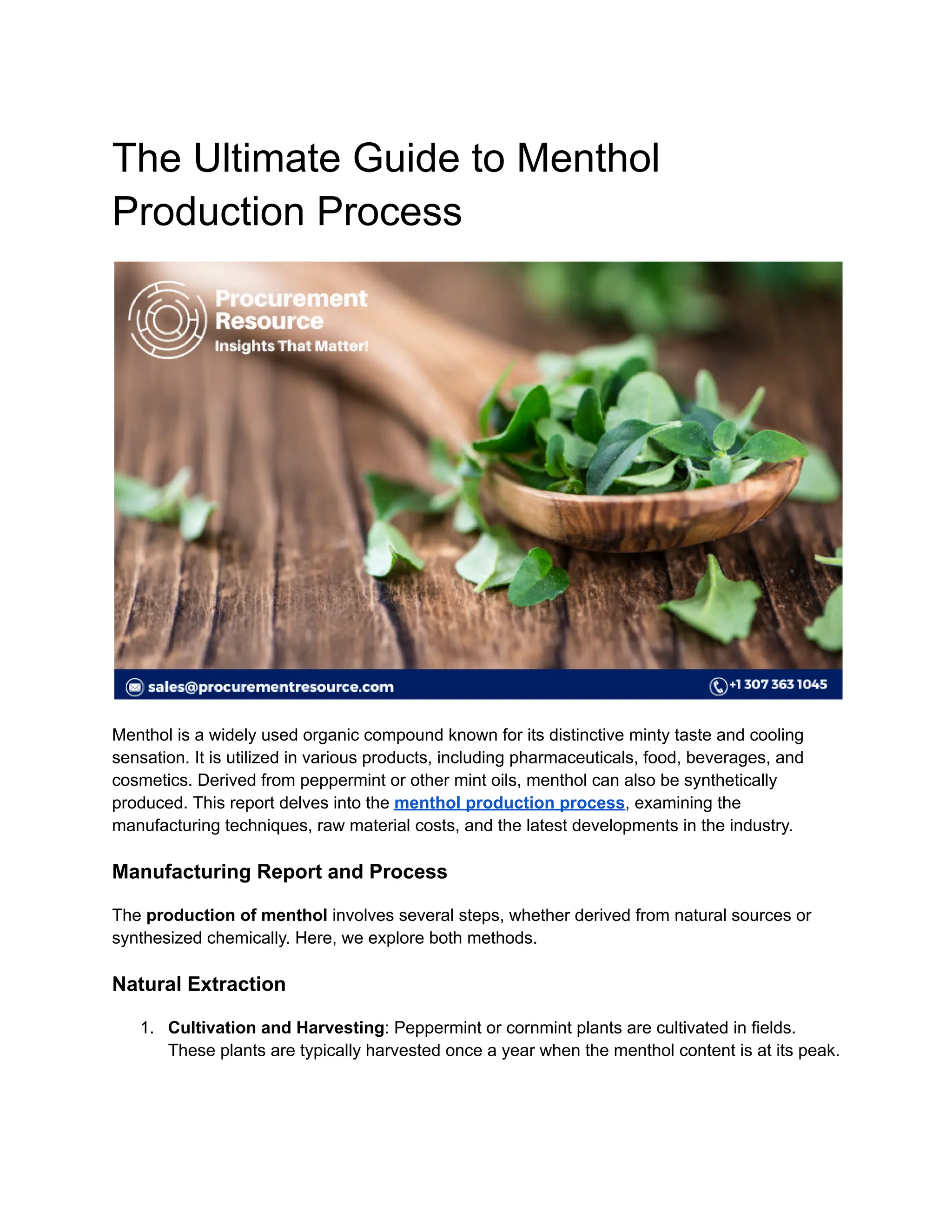 The Ultimate Guide to Menthol Production Process.pdf