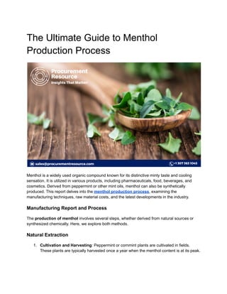 The Ultimate Guide to Menthol Production Process.pdf