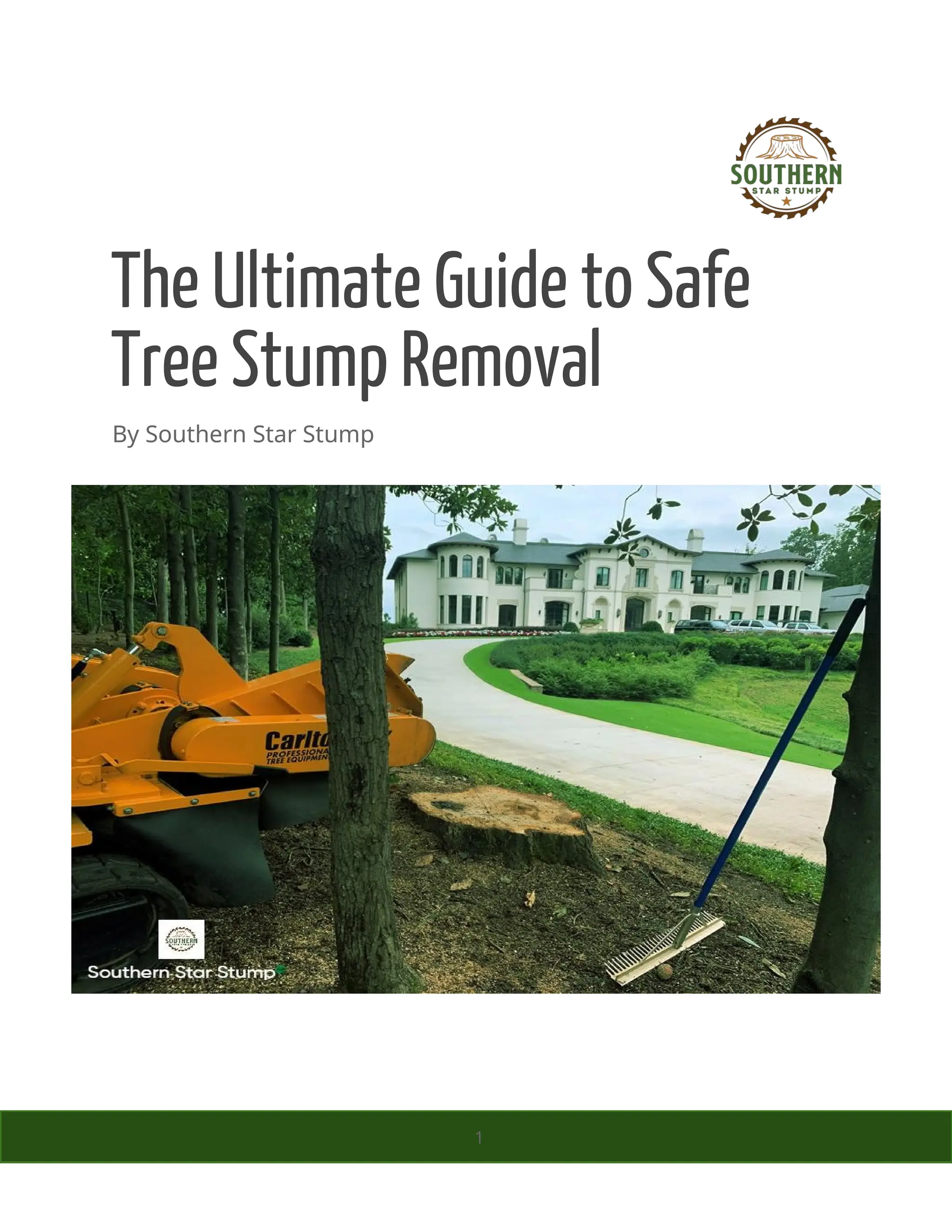The Ultimate Guide to Safe Tree Stump Removal.docx