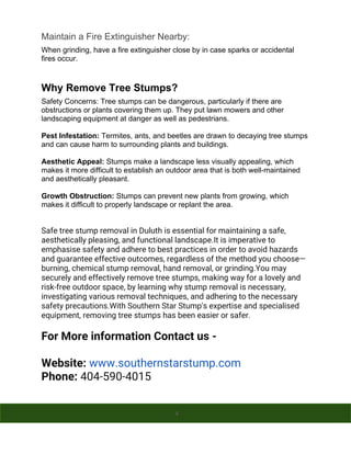 The Ultimate Guide to Safe Tree Stump Removal.docx