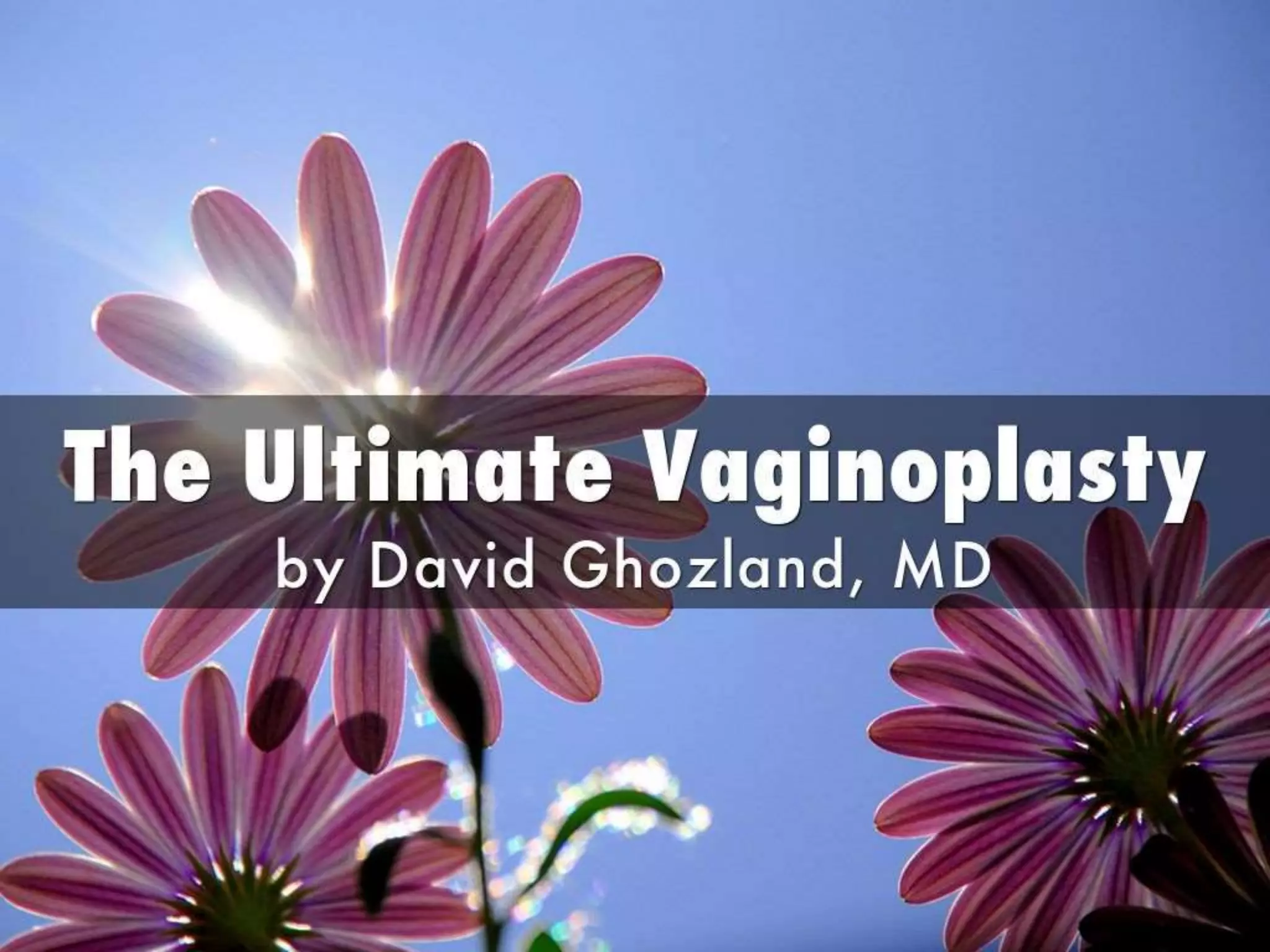 Dr. David Ghozland's The Ultimate Vaginoplasty | PPTX