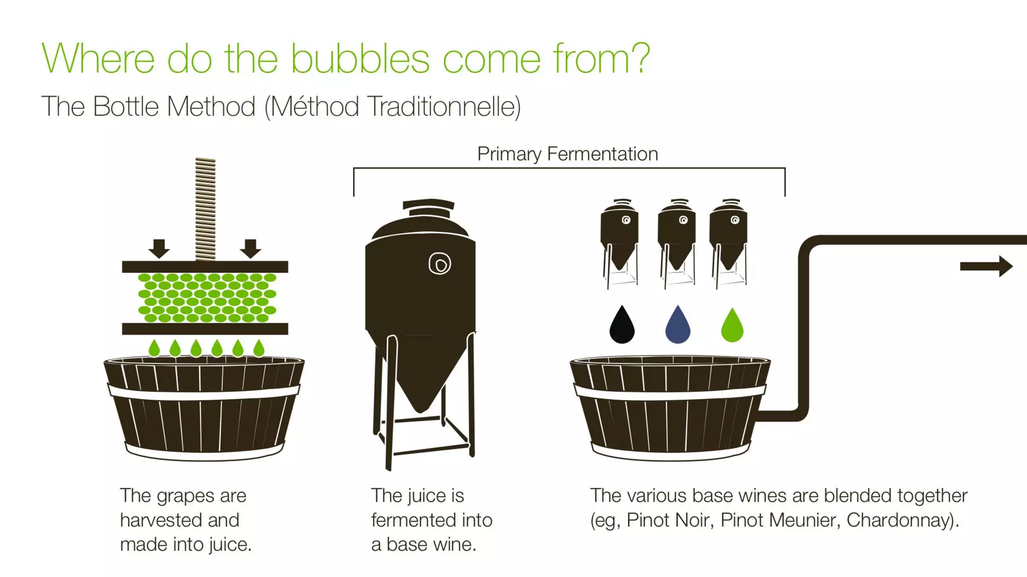 The ultimate visual guide to champagne & sparkling wine by winetracker.co