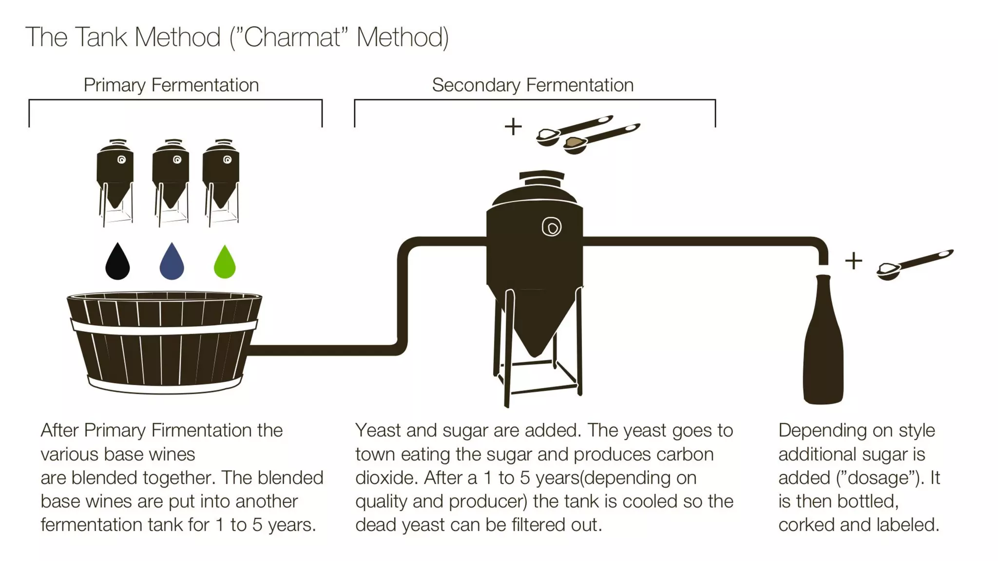 The ultimate visual guide to champagne & sparkling wine by winetracker.co
