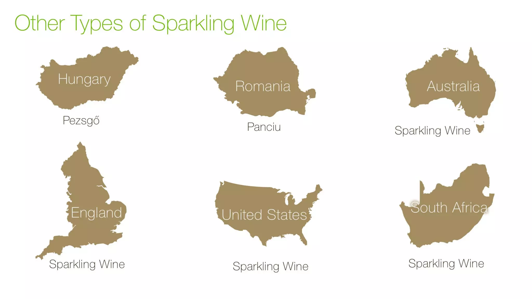 The ultimate visual guide to champagne & sparkling wine by winetracker.co