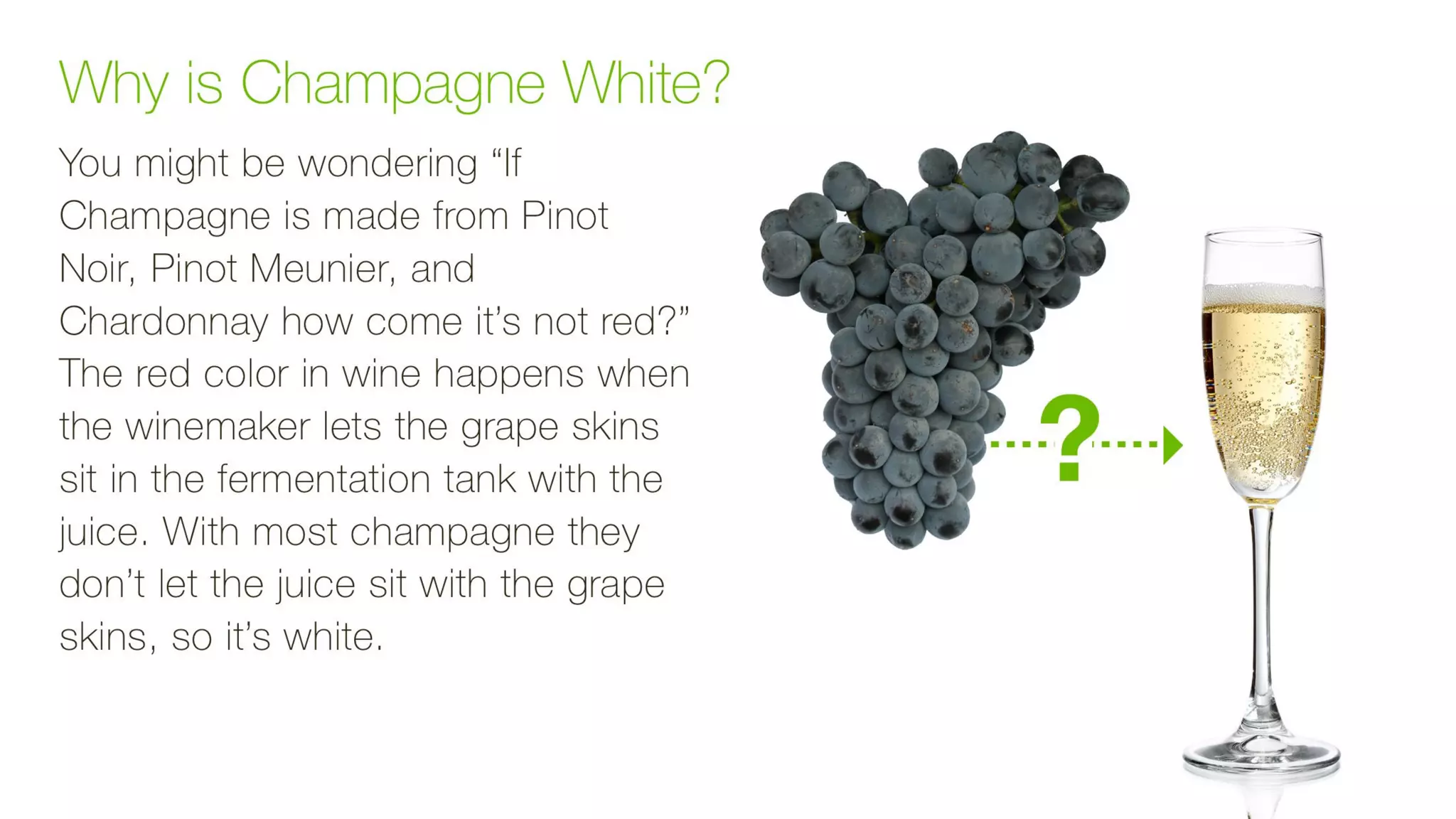 The ultimate visual guide to champagne & sparkling wine by winetracker.co