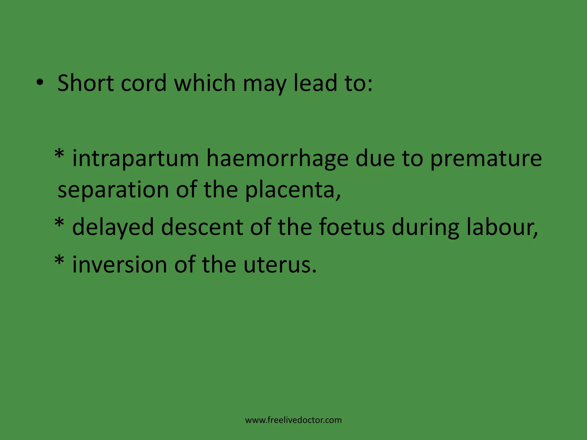 The umbilical cord | PPTX