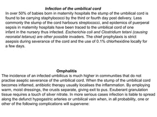 presentatrion about umbilicus development | PPT