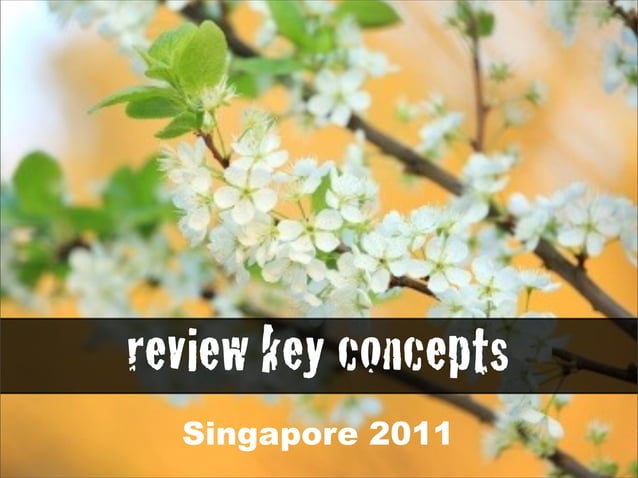 The Unilever Effective Leadership The How 2012 | PDF
