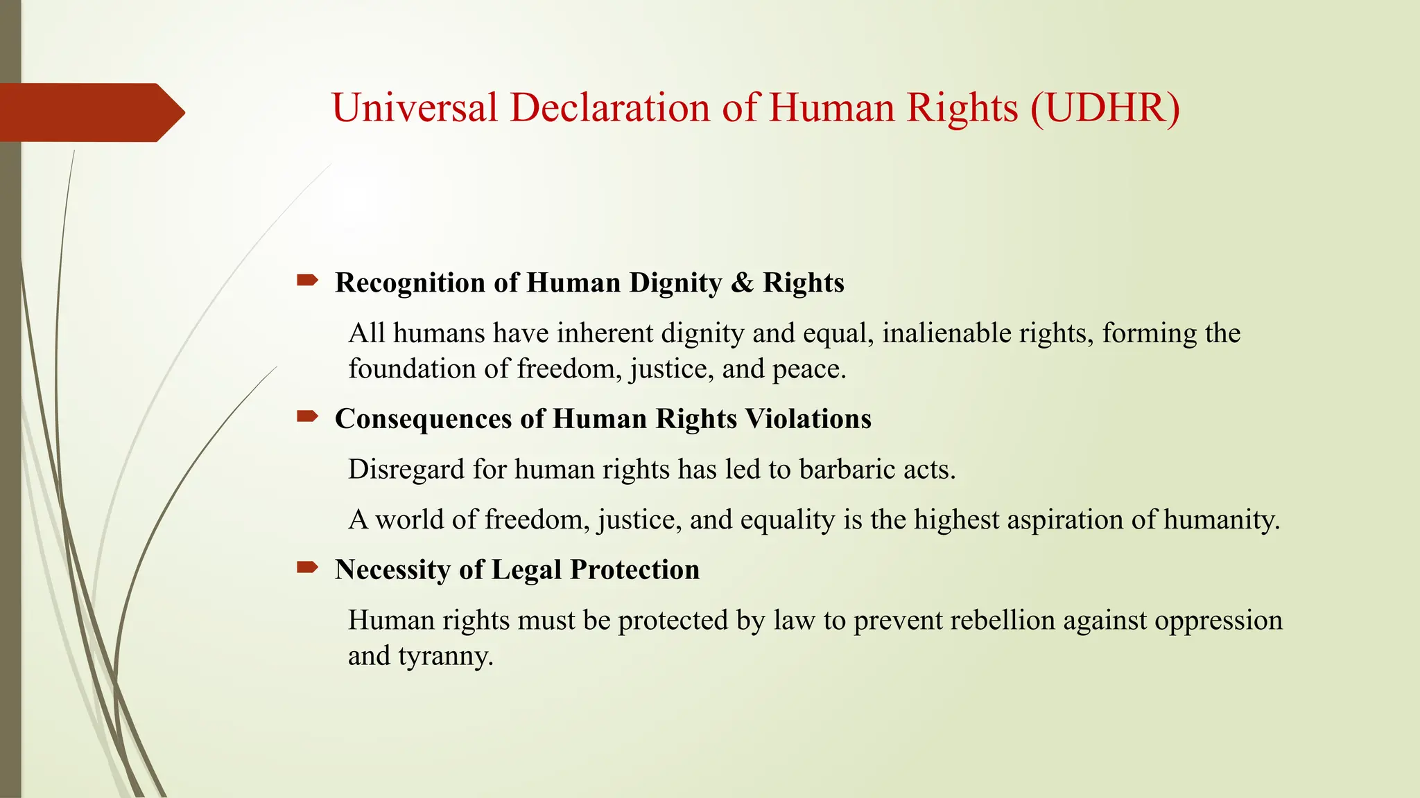 The United Nations and Human Rights.pptx