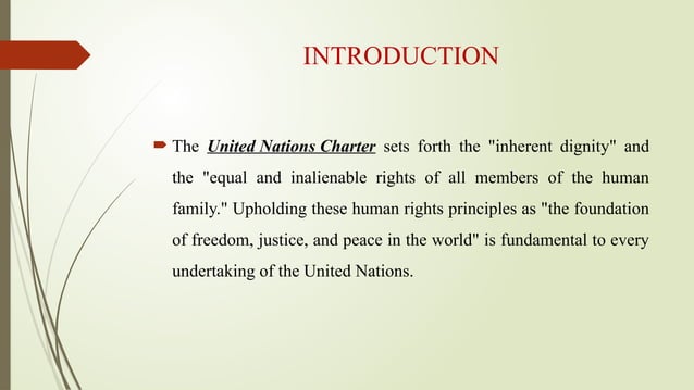 The United Nations and Human Rights.pptx